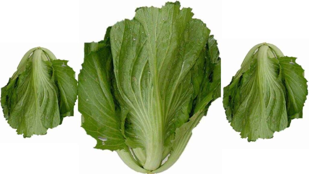 Chinese Leafy Greens You Must Try - Cooldesichinese