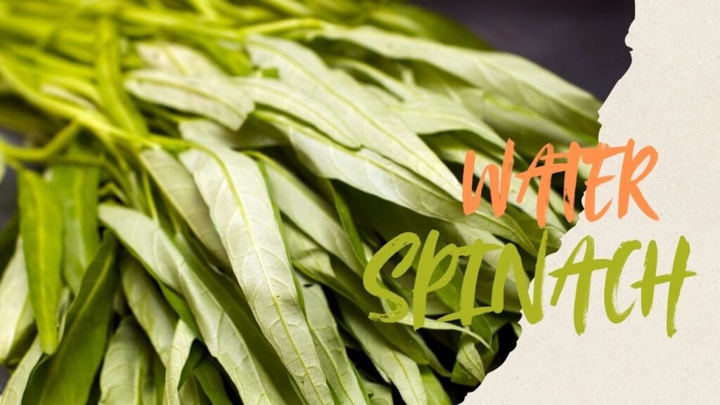 Chinese Leafy Greens You Must Try - Cooldesichinese