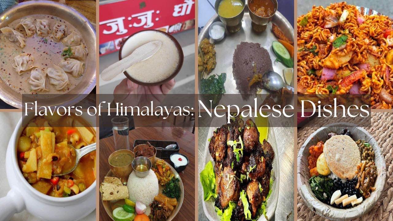 Flavors of the Himalayas: A Guide to Nepal’s Traditional Dishes ...
